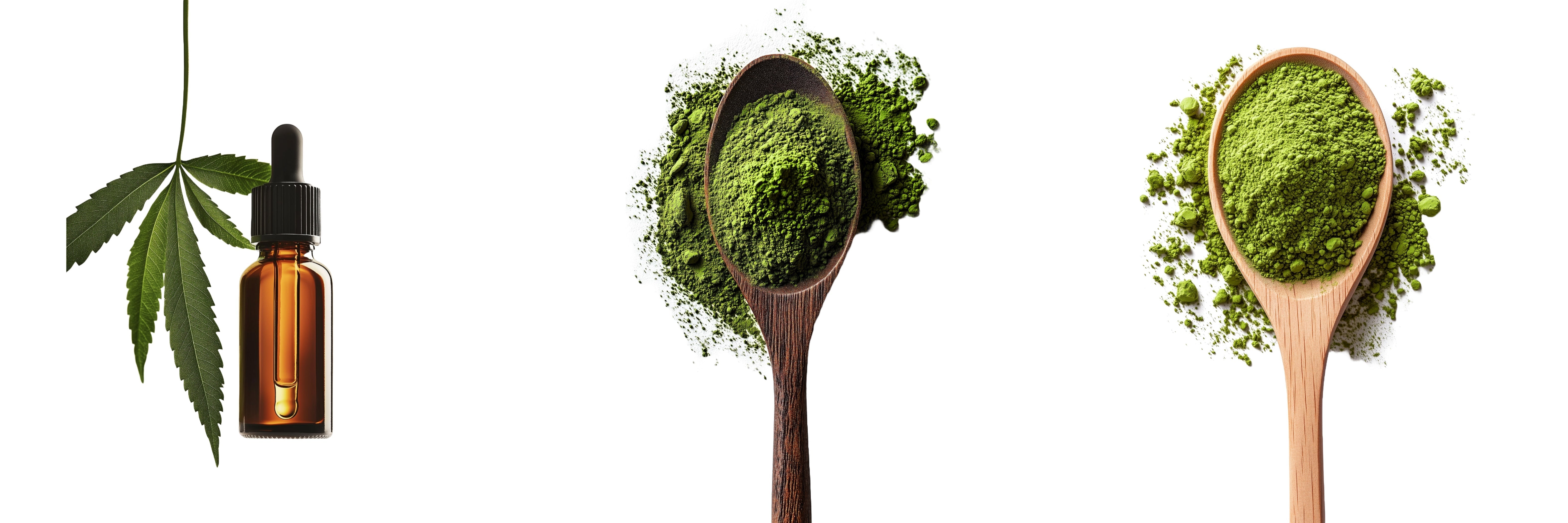 The Cannabinoid Dream Team: CBD, CBG & CBN—What’s the Difference, and ...